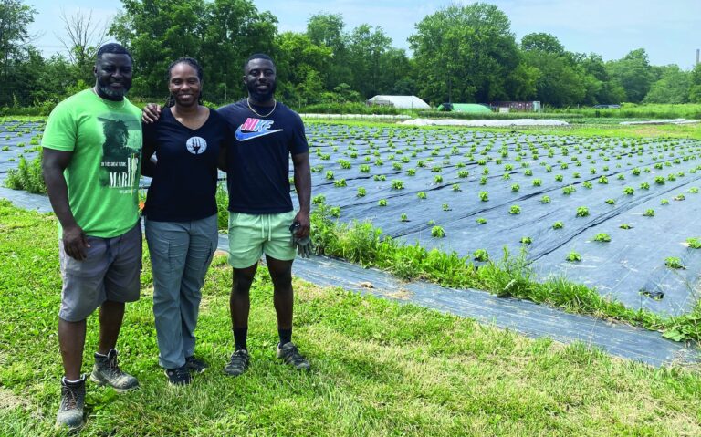How Farms Deliver Value Beyond Food - Food Bank News
